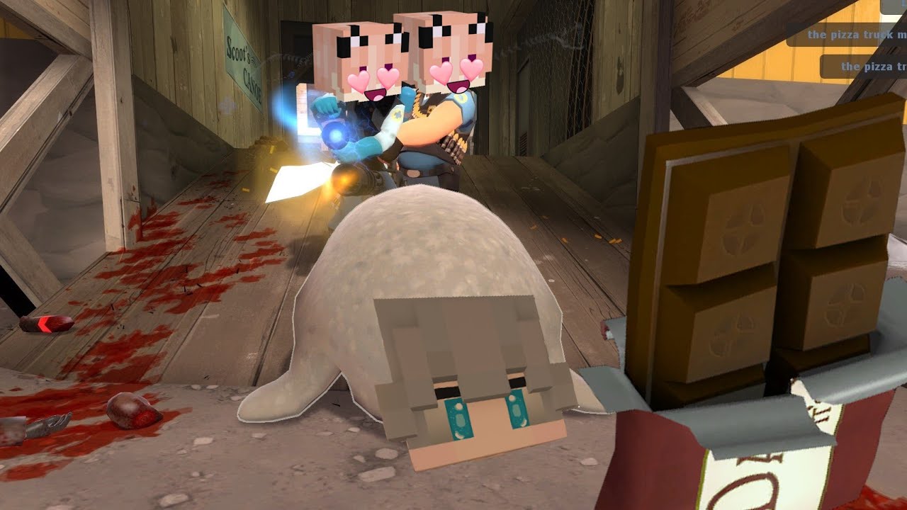 TF2 Summer Update Seal Obsession - YouTube