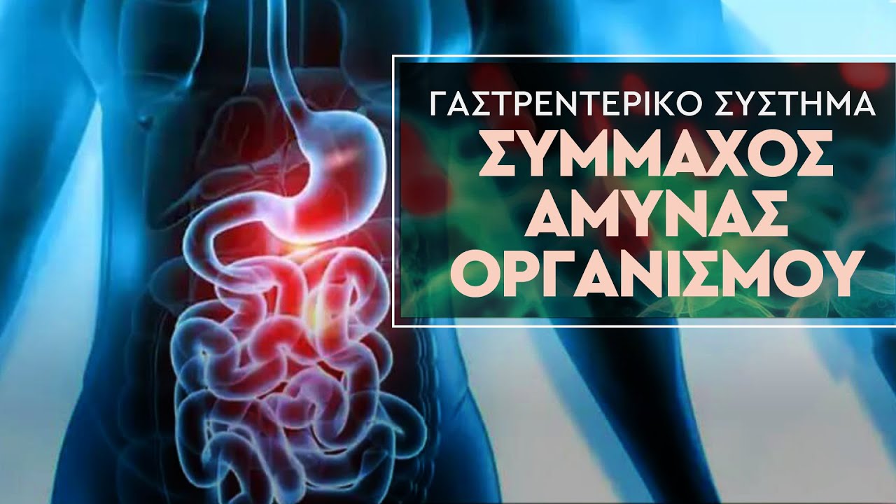 Γαστρεντερικό Σύστημα | Θωρακίστε το και απαλλαγείτε από γαστρεντερικά ...