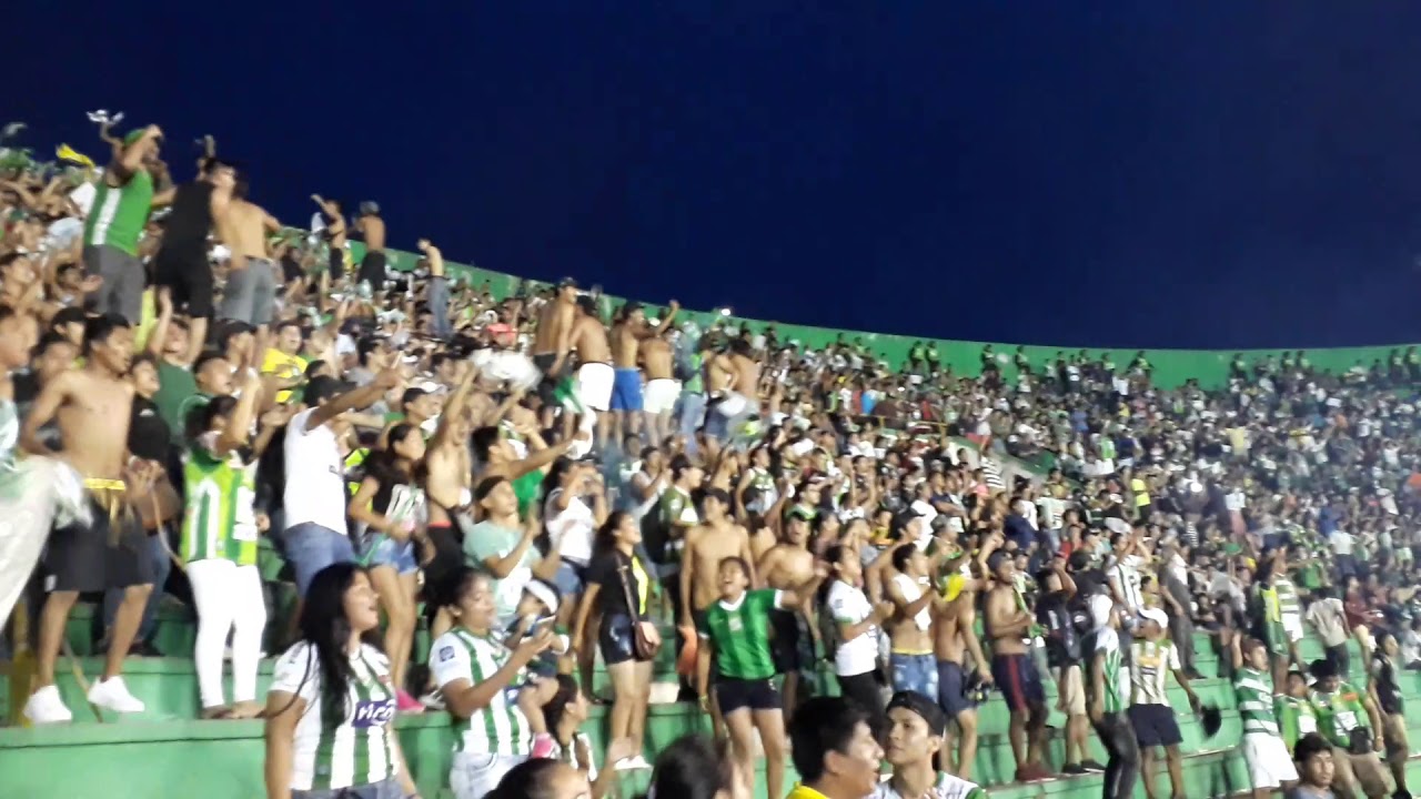 La hinchada mas grande del PAIS 💚💚💚 10/02/19 - YouTube