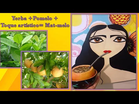 Como preparar un Mat-melo - YouTube