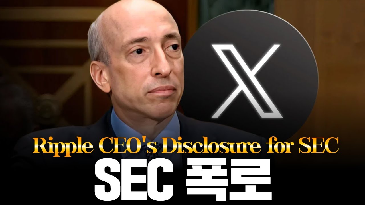 리플 CEO, "SEC에 폭로할 것 있다" - YouTube