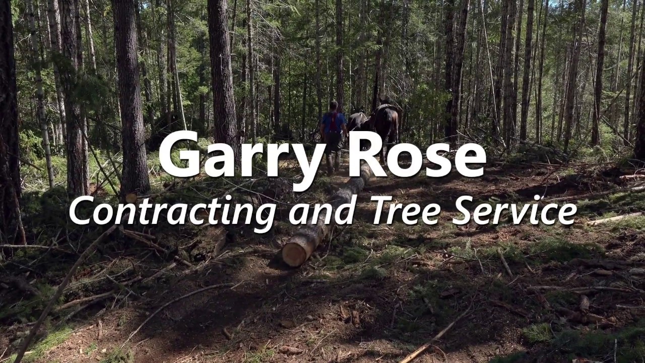 Garry Rose Horse Logging - YouTube