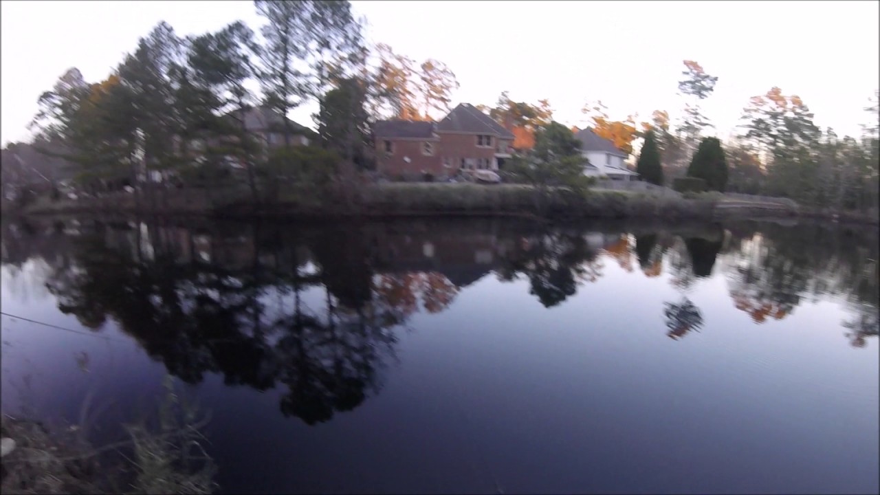 VA White Perch Fishing - YouTube