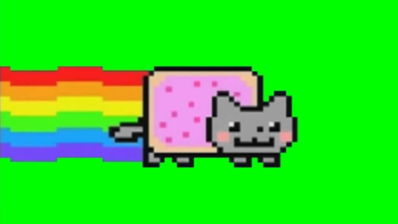 Nyan Cat On a Green Screen w/sound *HD* - YouTube