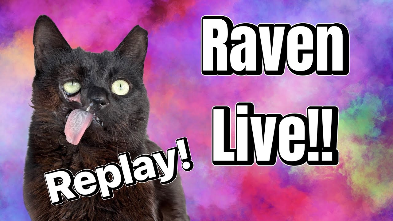 I am Raven is live - YouTube