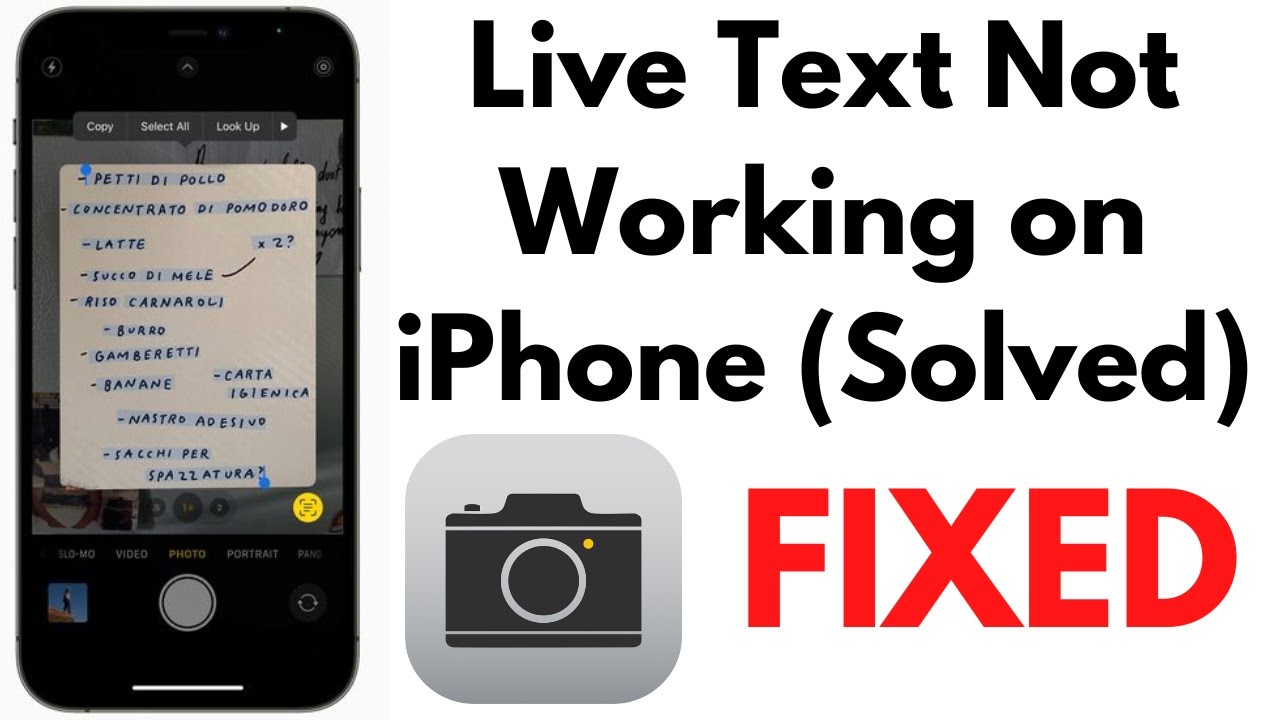 How to fix Live Text Not Working on iPhone Issue Solved - Mindovermetal ... How to fix Live Text Not Working on iPhone Issue Solved - Mindovermetal ...