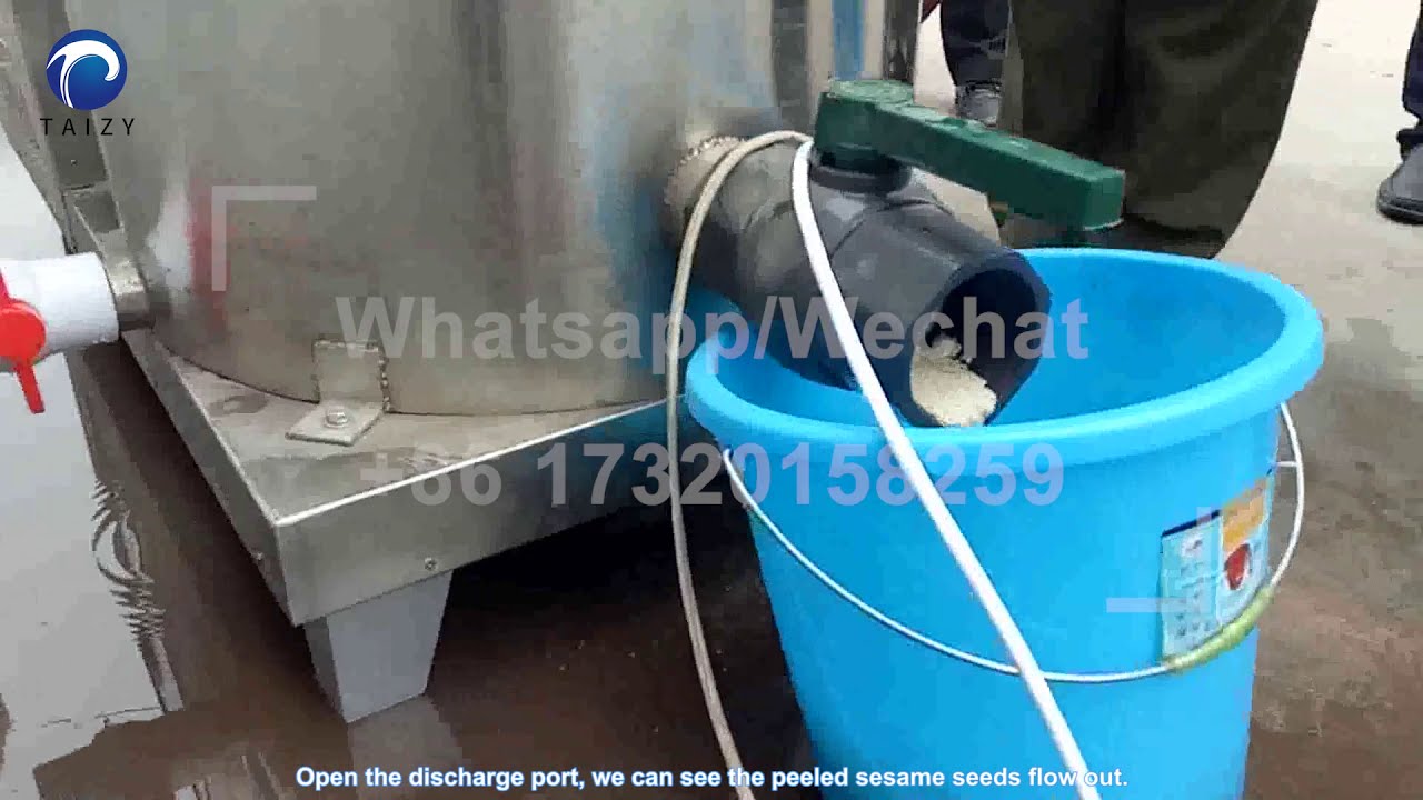 black sesame seed peeling machine/sesame cleaning machine/sesame seed ...