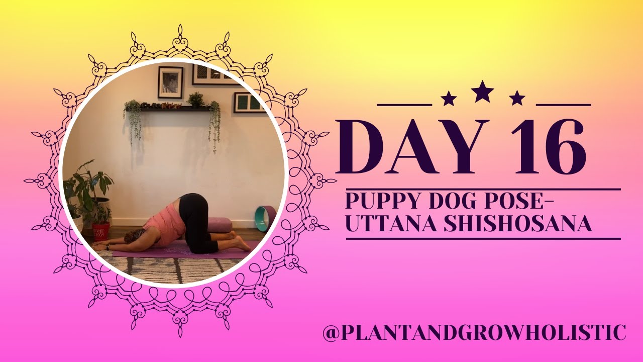 Day 16 - Puppy Dog Pose or Uttana Shishosana- 30 Day Yoga Challenge # ...