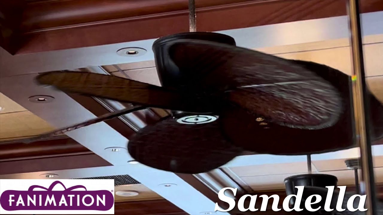 52" Fanimation Sandella Ceiling Fans (1, 2, 3, 4, 5, 6, 7, 8, 9, 10 ...