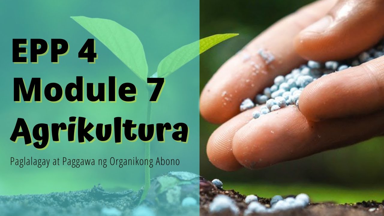 Pag aabono -EPP 4 Module 7 Agrikultura - YouTube