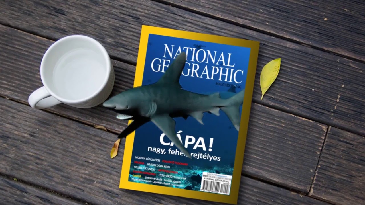 Interactive Print Media - YouTube