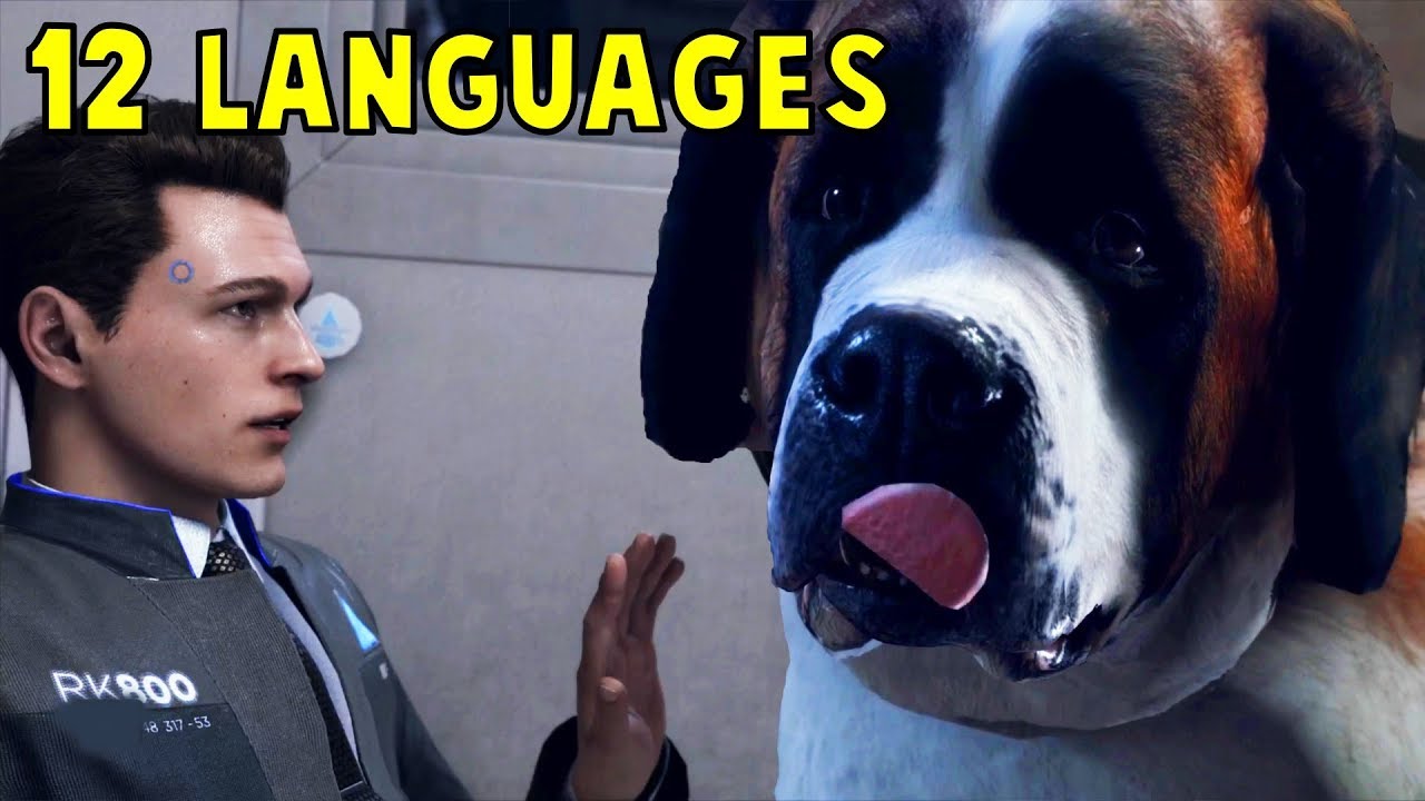 Connor vs Sumo in 12 Languages - Detroit Become Human - YouTube