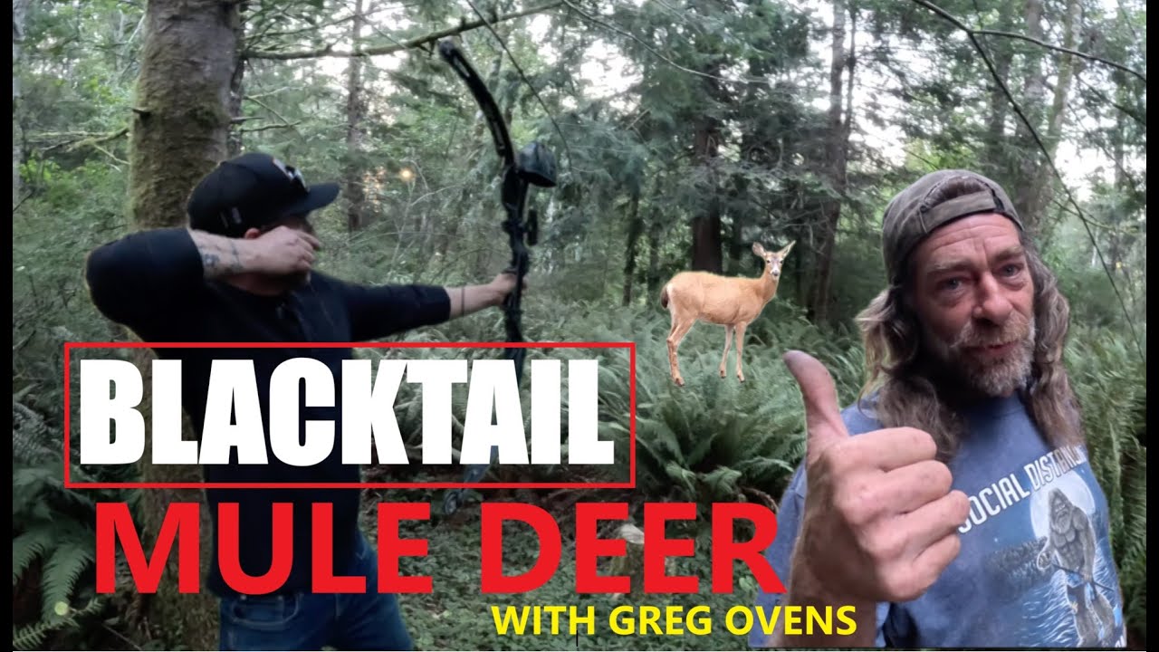 WHAT ACTUALLY HAPPENS on an easy hunt! Hunting #Deer on my Homestead ...