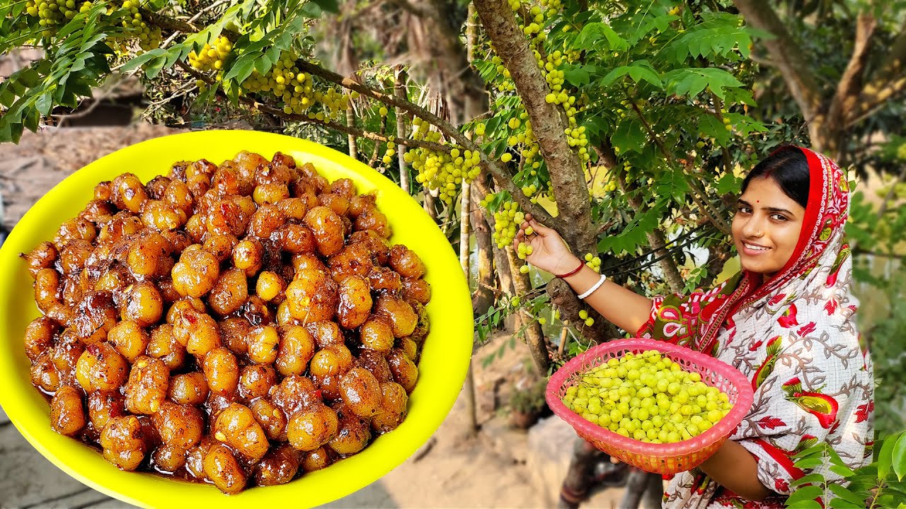 গাছ থেক কুল পেড়ে, শিলা কুলের টক ঝাল মিষ্টি আচার বানালাম | Nol Faler ...