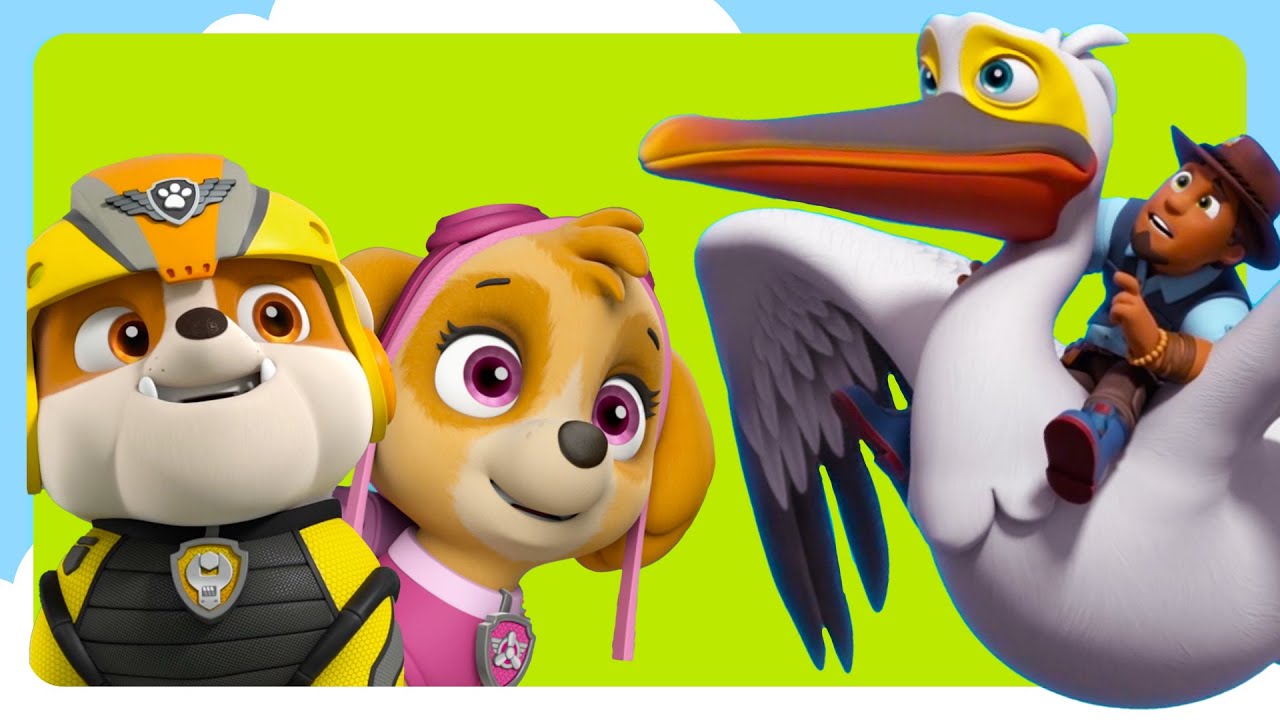 Best of Skye and Rubble | PAW Patrol | Cartoons for Kids - YouTube