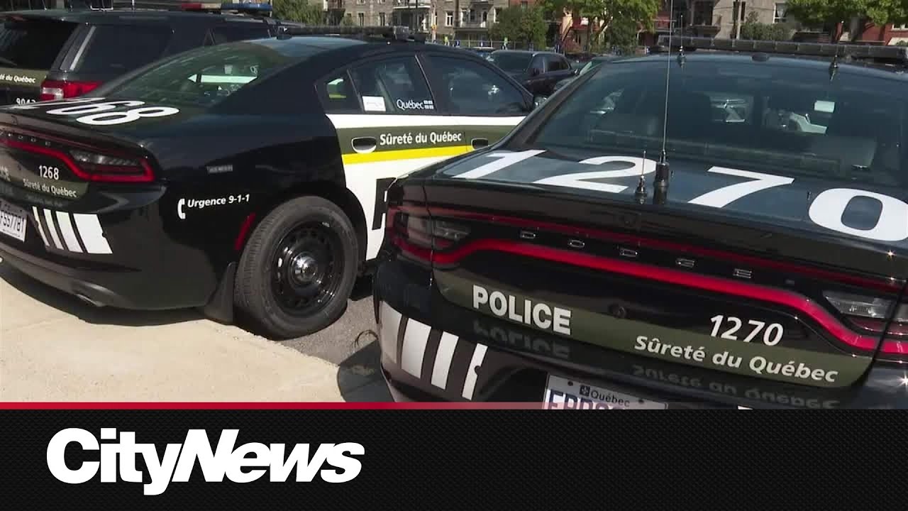 'Major blow' to Quebec organized crime: Leonardo Rizzuto arrested - YouTube