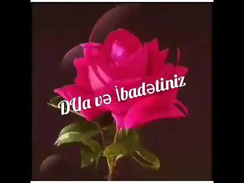 🌙Gecənin 🌟Sahibinə 🌟Əmanət Olun.⚘👐