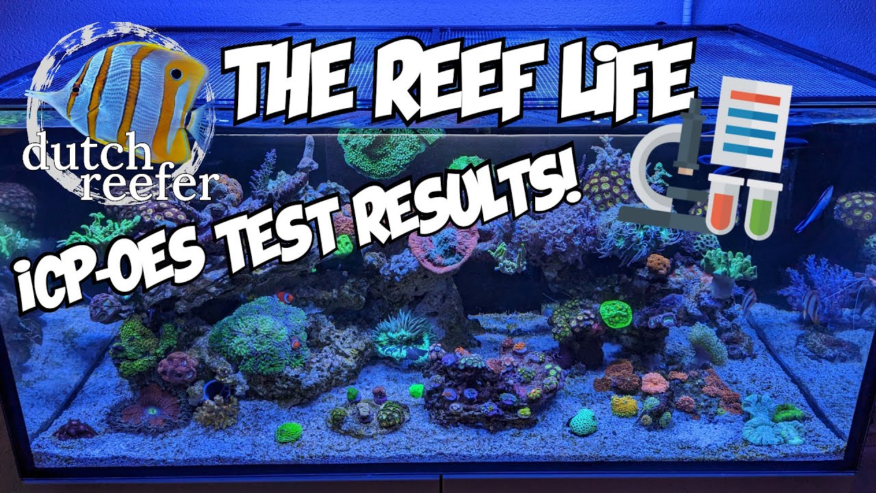 THE REEF LIFE with the ICP-OES Test Results! - YouTube