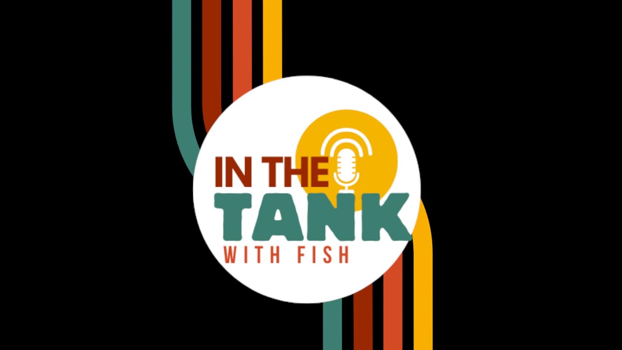In The Tank with Fish with guests Daysha Trujillo and Jennifer Stolo ...