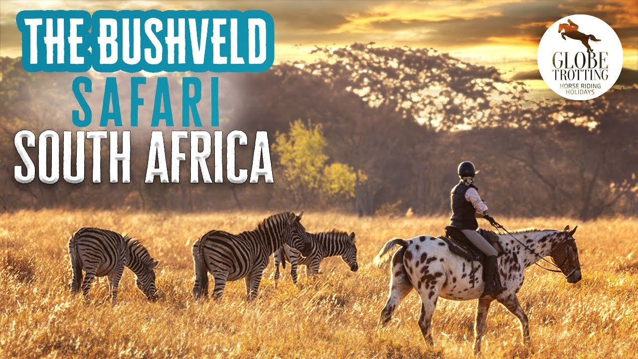 The Bushveld Safari, South Africa | Horse Riding Holidays ...