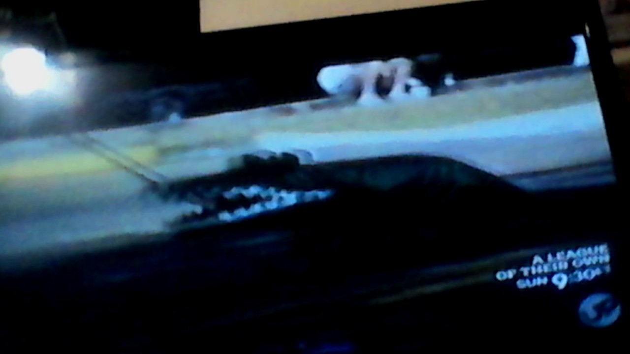 AFV a dog Halloween montage. - YouTube