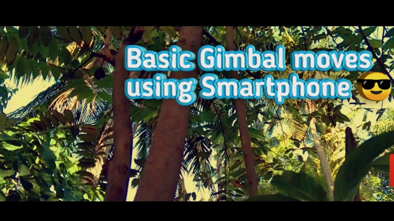 Basic Gimbal moves - YouTube