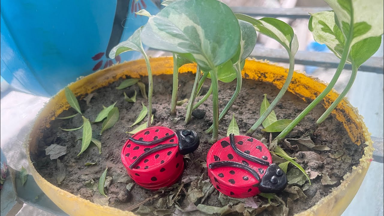 Reuse of old bottle,boroline Dabba paint 🐞🐞🐞 - YouTube