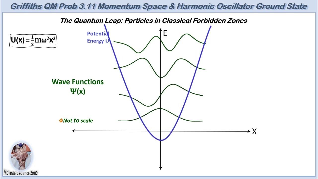 Griffiths Quantum Mechanics Problem 3.11|Harmonic Oscillator|Momentum Wave Function|Fourier ...