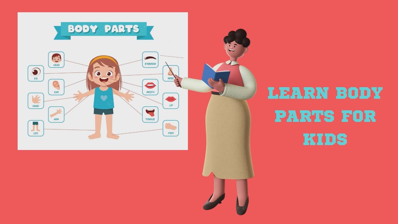 KID FIRST EDUCATION | DIFFRENT TYPES OF BODY PARTS FOR KIDS | FUN AND ...