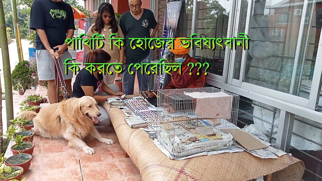 How Was The Dog Friendly Resort : José, The Golden Retriever # ...