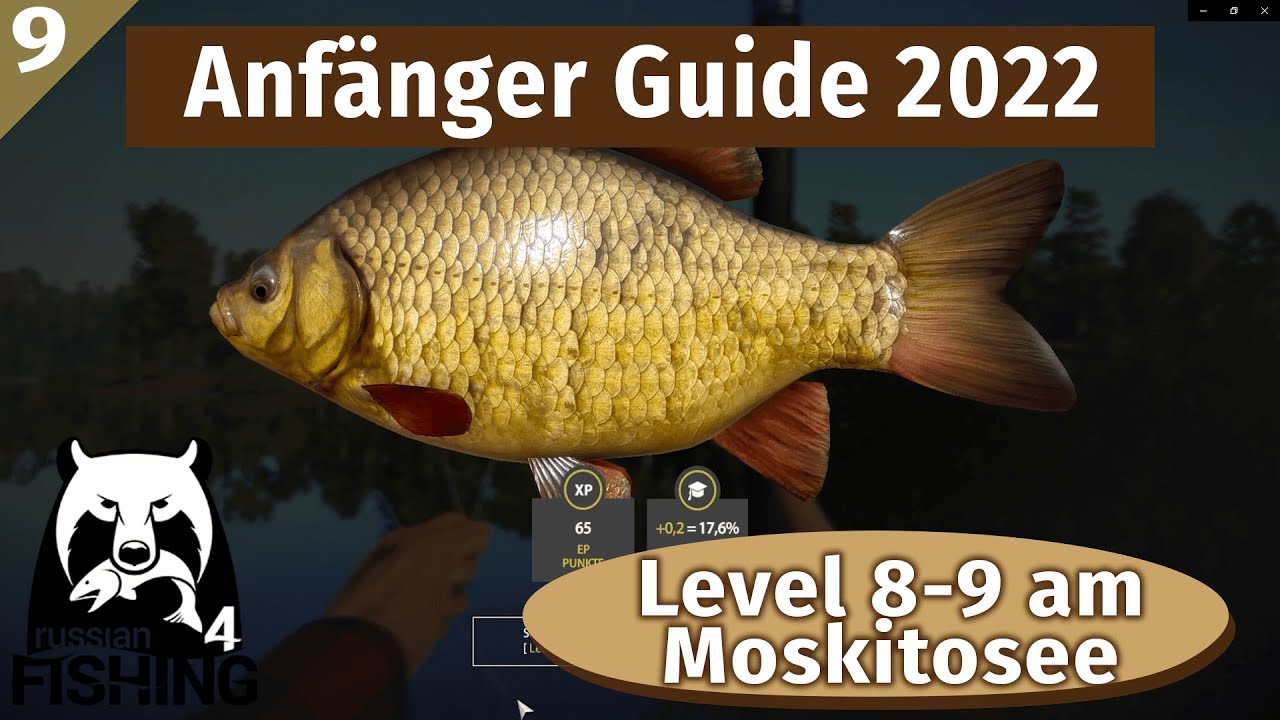 RF4 Anfänger Guide 2022 #9 - Zusammen von Level 1-12 - YouTube