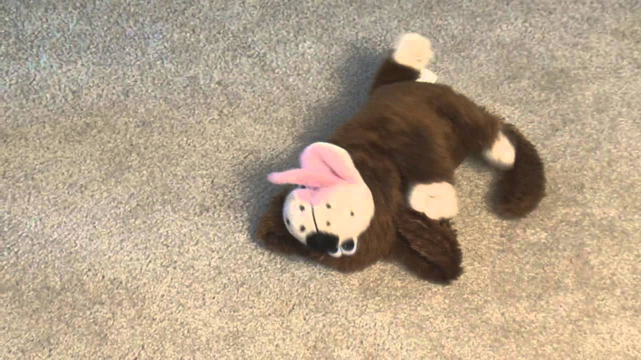 Flipo Crazy Critters Furry Laughing Friends at SharkStores - YouTube