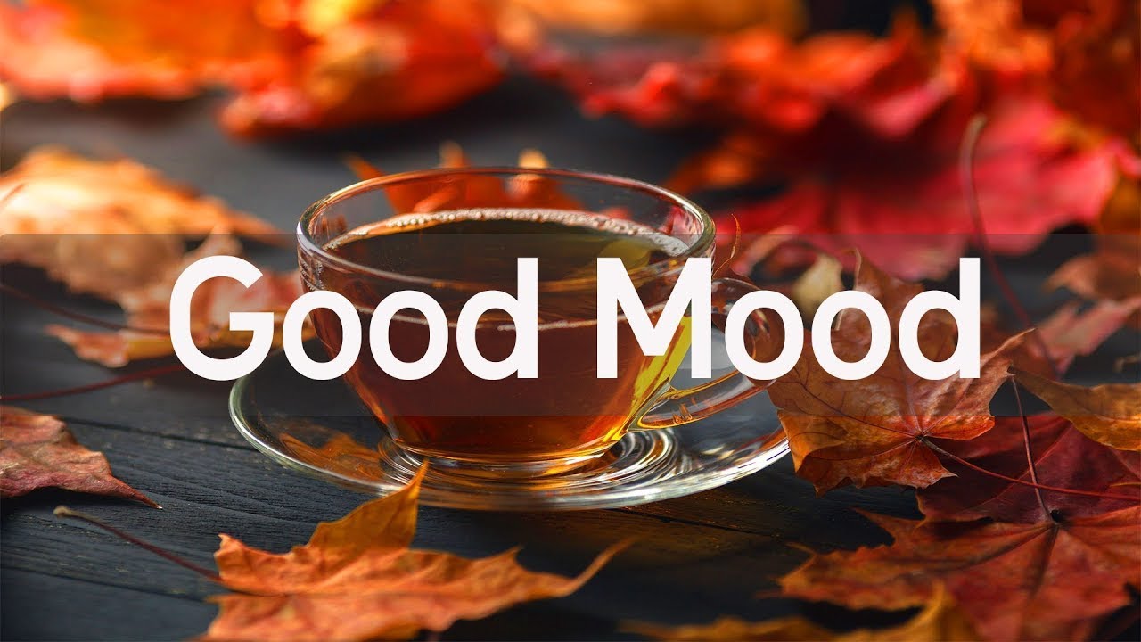 Soft Jazz Melodies || Calm Piano Jazz for Relaxation, Study, and Good ...