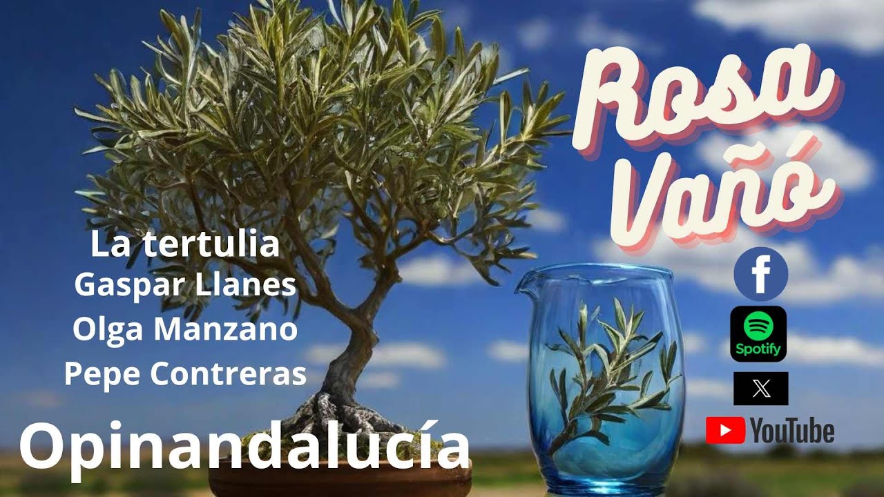 ROSA VAÑÓ, UNA DE LAS MEJORES EMPRESARIAS DE ESPAÑA, EN PANORAMA - YouTube