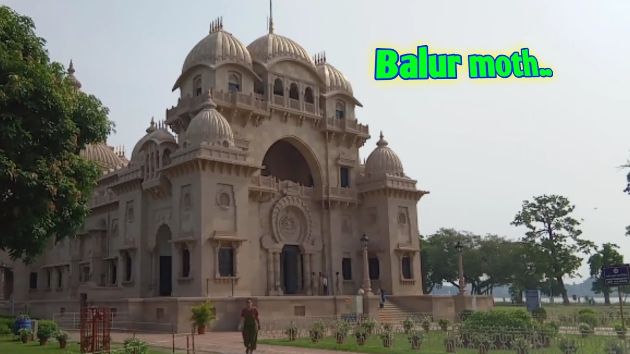 Balur moth ||BALUR MOTH|| - YouTube