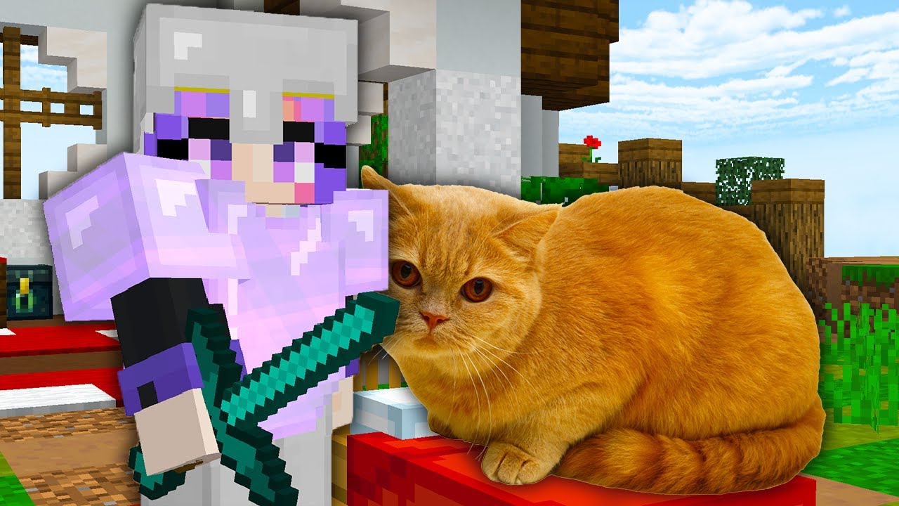 Bedwars Ft. My Cats - YouTube