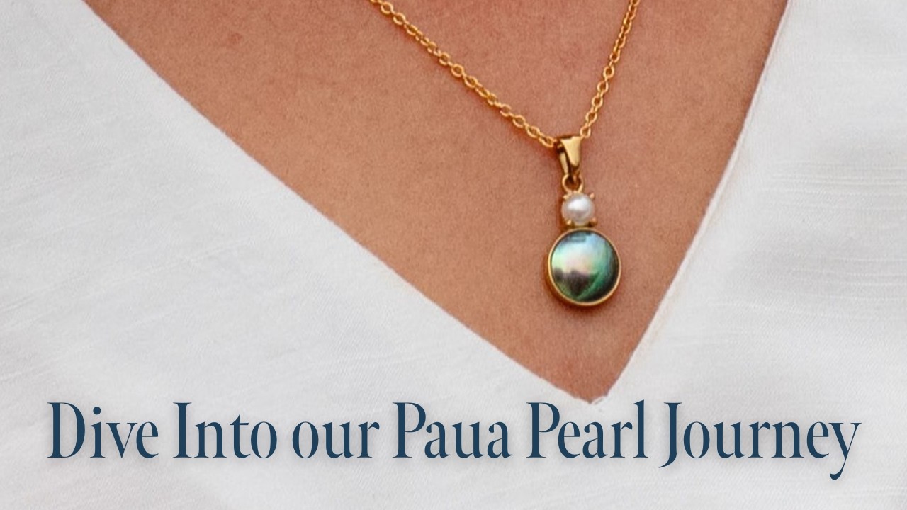 The Paua Pearl Virtual Tour | Discover the Magic Behind Arapawa’s Paua ...