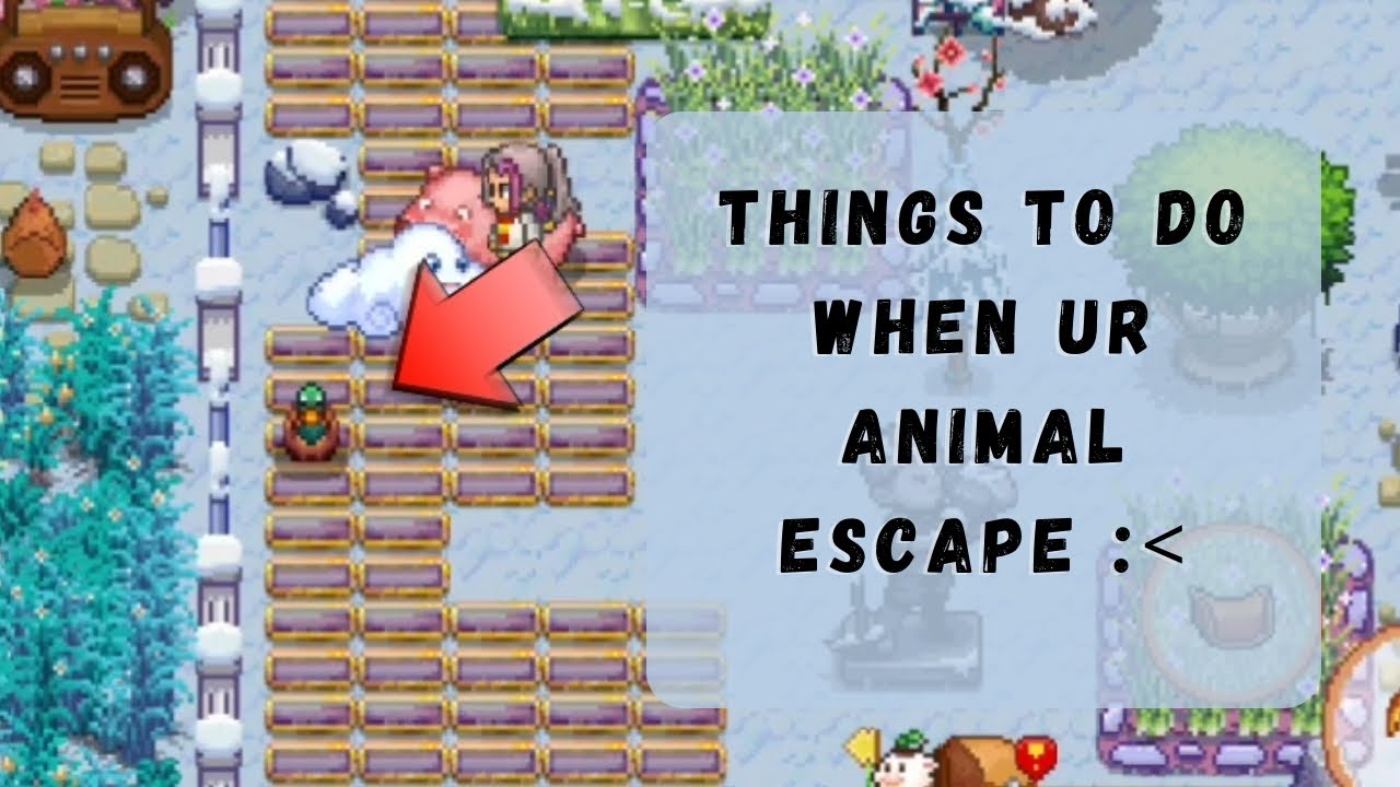 My Duck Escape!! │Tips how to get your animal back inside the fences back │Harvest Town - YouTube