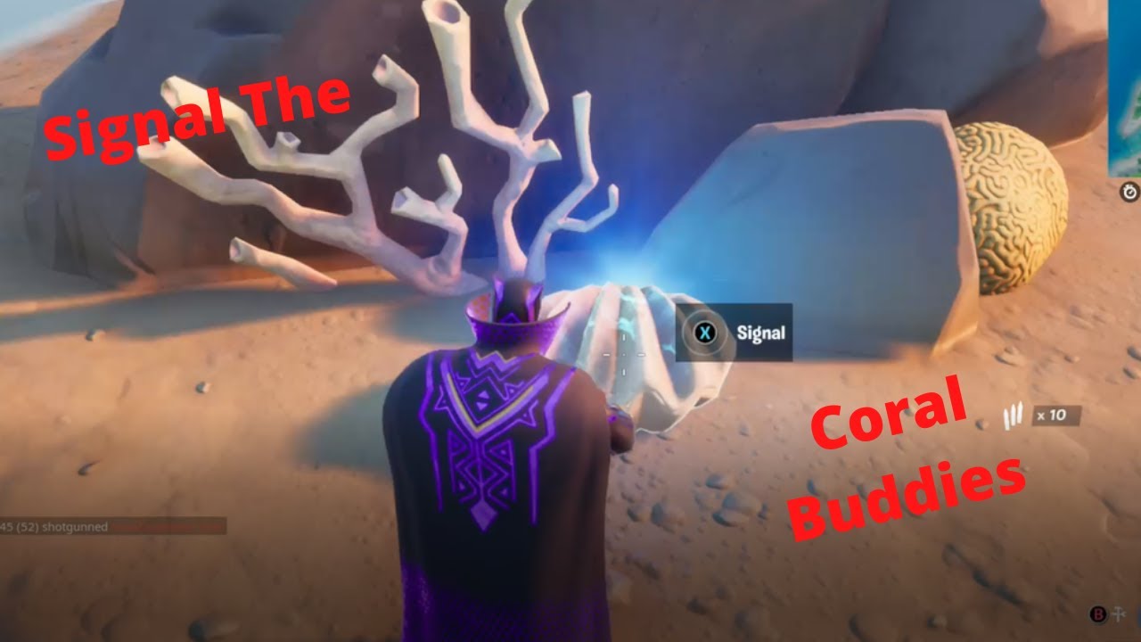 (Fornite Challenges) Signal The Coral Buddies - YouTube