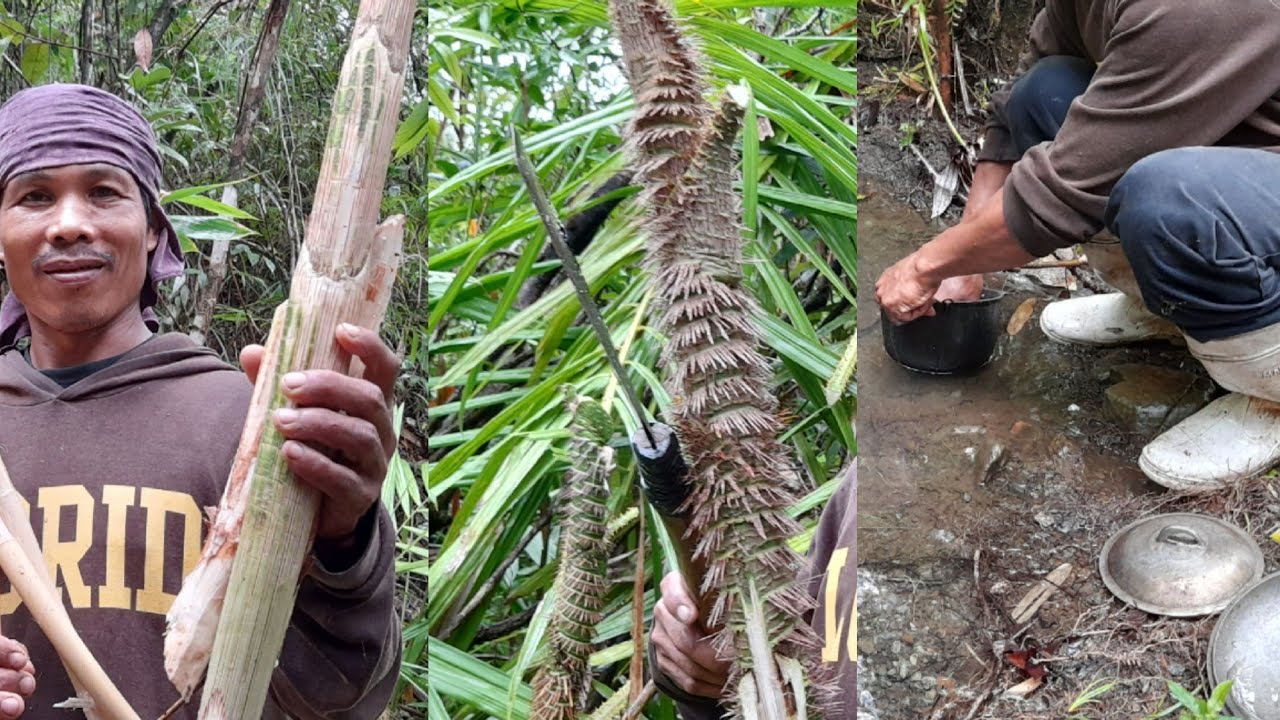 Rattan recipe/ Adventure in the mountain day2 //ubod ng uway/ #rattan # ...