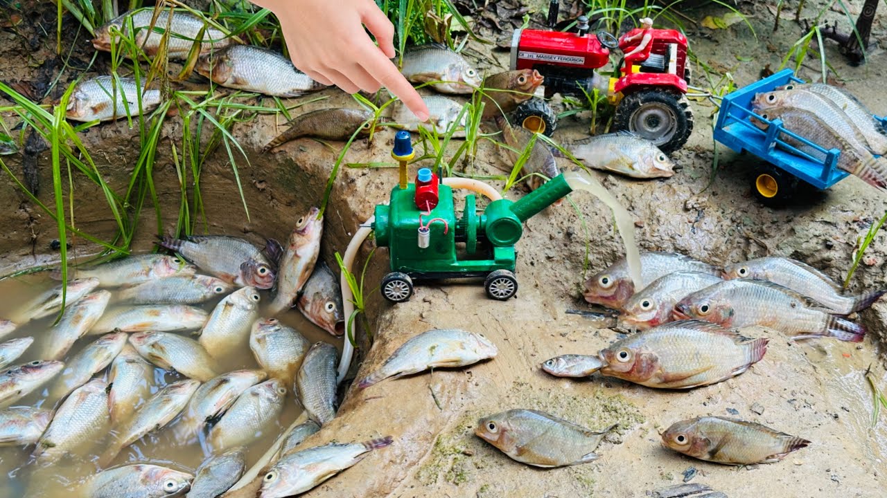 catch fish using mini water pump | fishing exciting | diy tractor ...