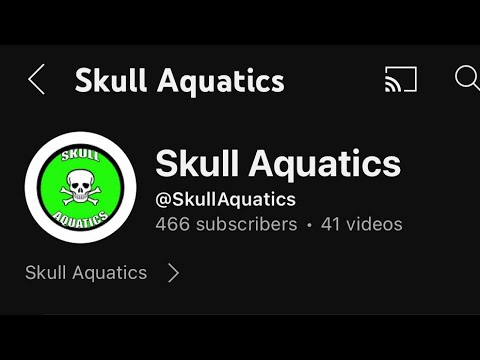 Sunday With Skull - YouTube