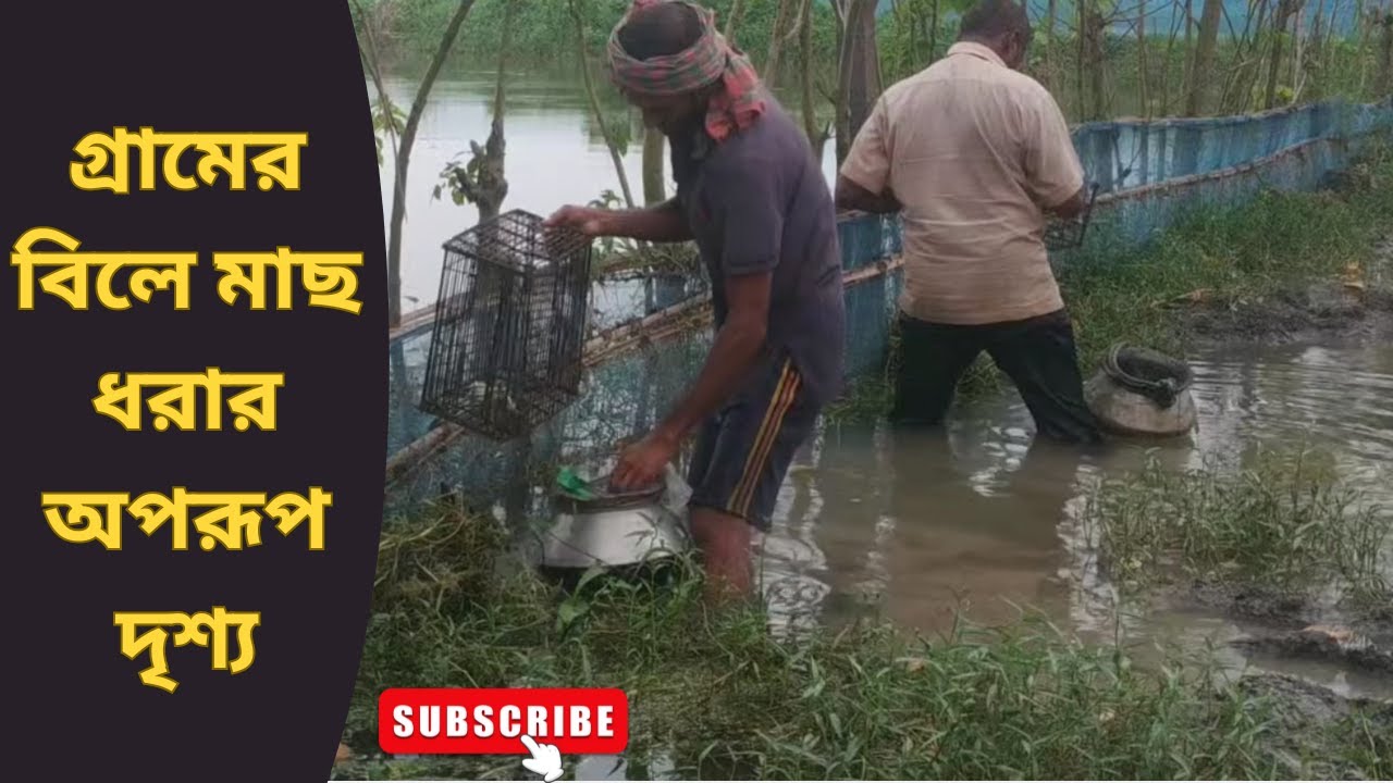 গ্রামের বিলে মাছ ধরার অপরূপ দৃশ্য//🌱🦐🐟🦀Bangla Agro Fish Farm(BAFF ...