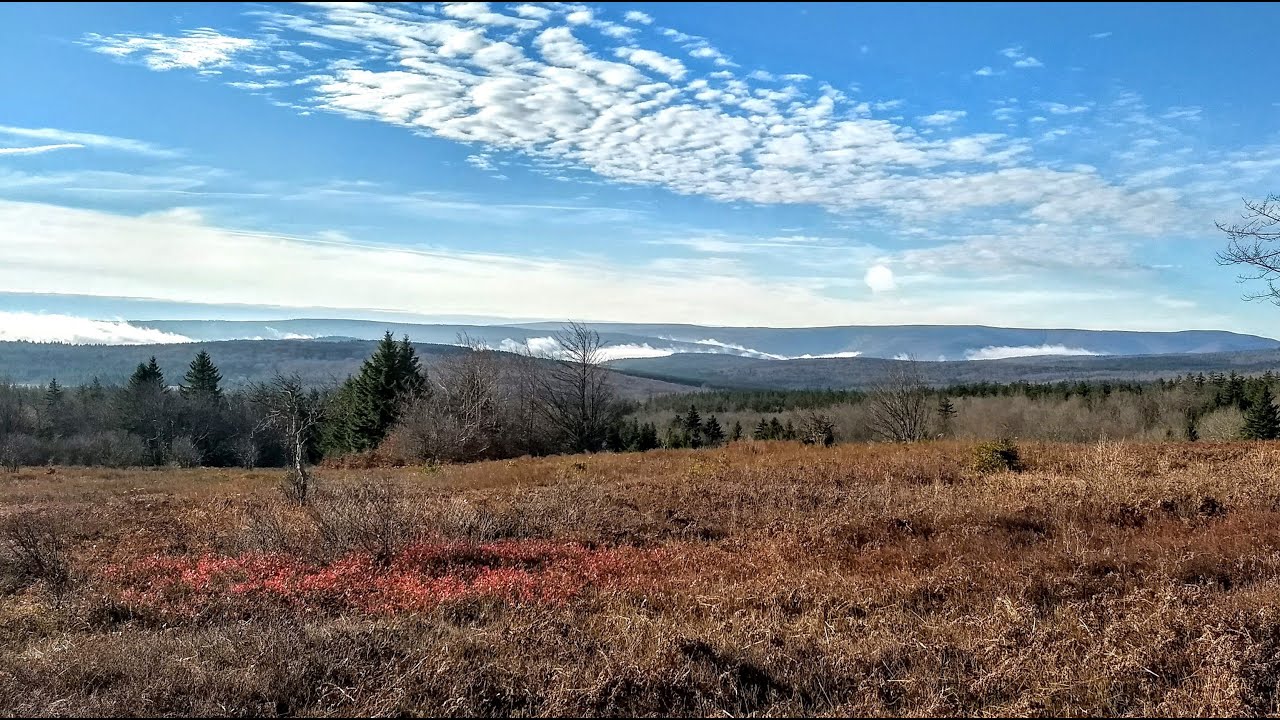 Hike in Dolly Sods Wilderness, West Virginia - YouTube