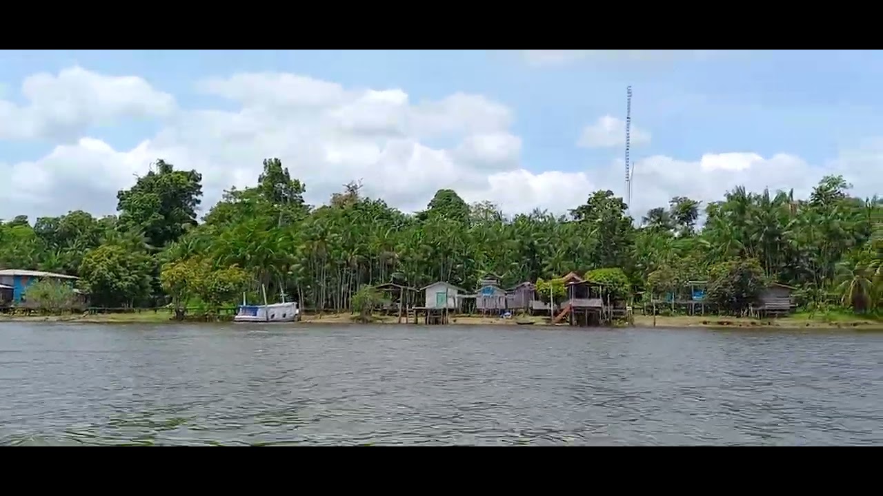 Amazônia gurupaense na ilha grande de Gurupá - YouTube