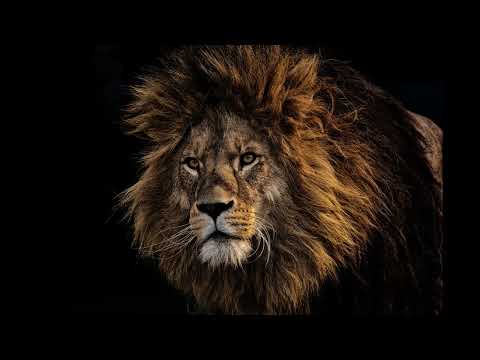 NEFFEX for when you're angry | a short playlist