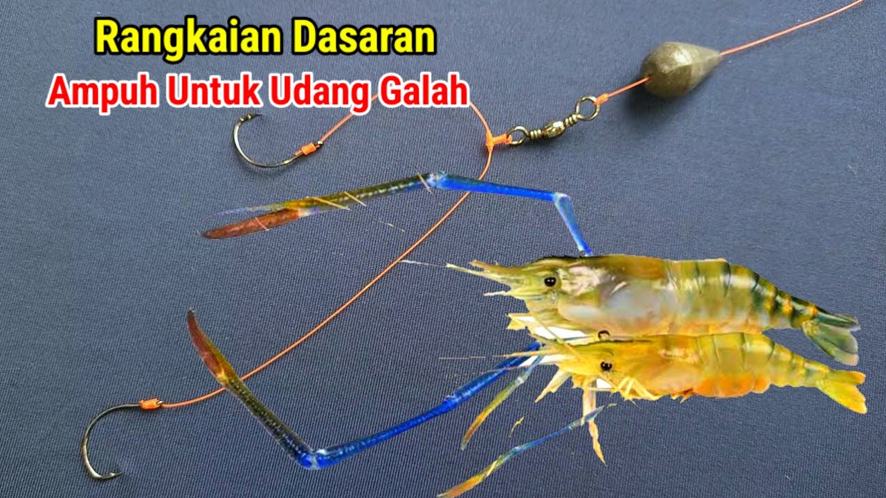 Cara Membuat Rangkaian Pancing Dasaran Kusus Udang Galah - YouTube
