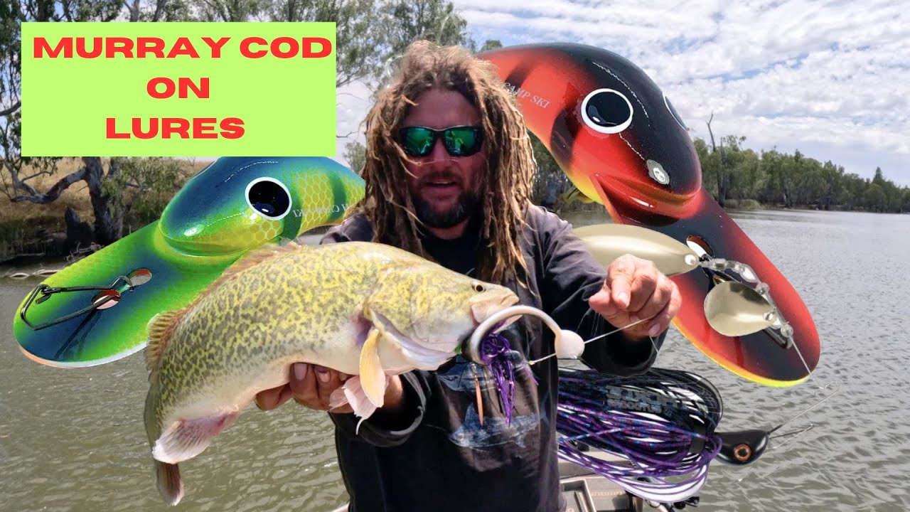 Backwater Fishing for Murray Cod - YouTube