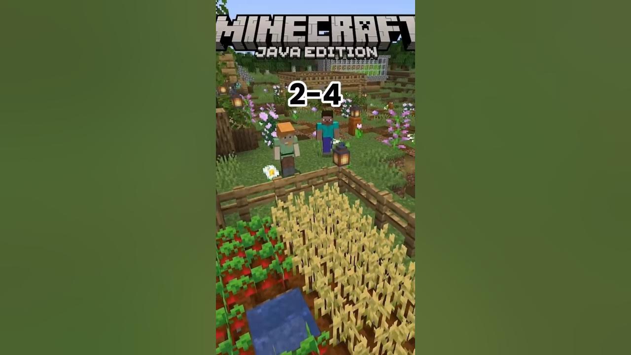 minecraft JAVA vs minecraft BEDROCK - YouTube