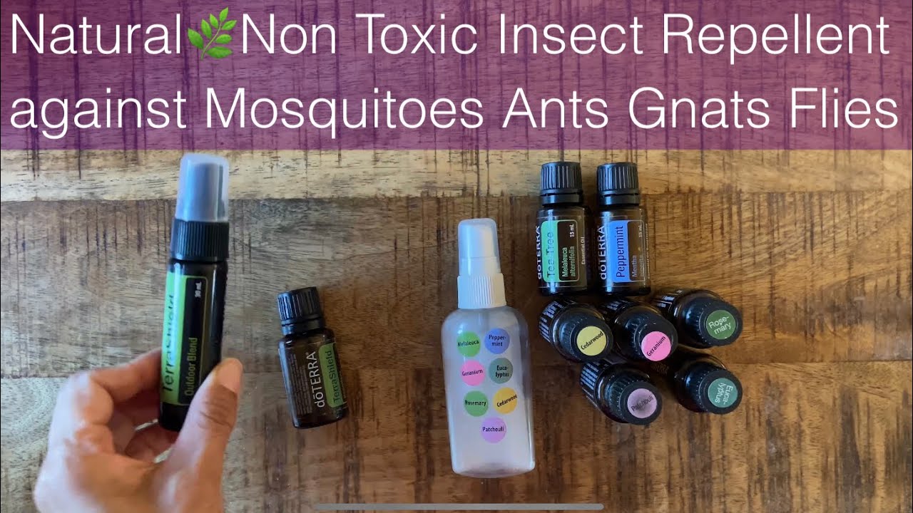 Natural🌿Non Toxic Insect Repellent against Mosquitoes Ants Gnats Flies ...